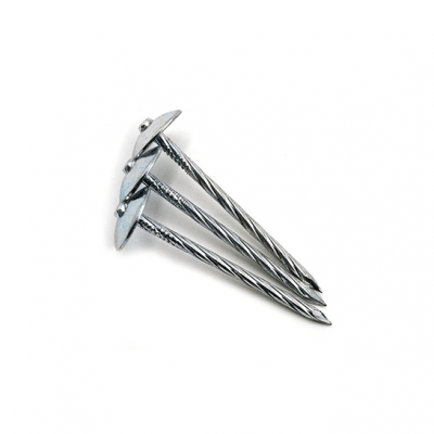 Galv Umbrella Nails Twisted 2-1/2x23kgs | Cebu Home and Builders Centre